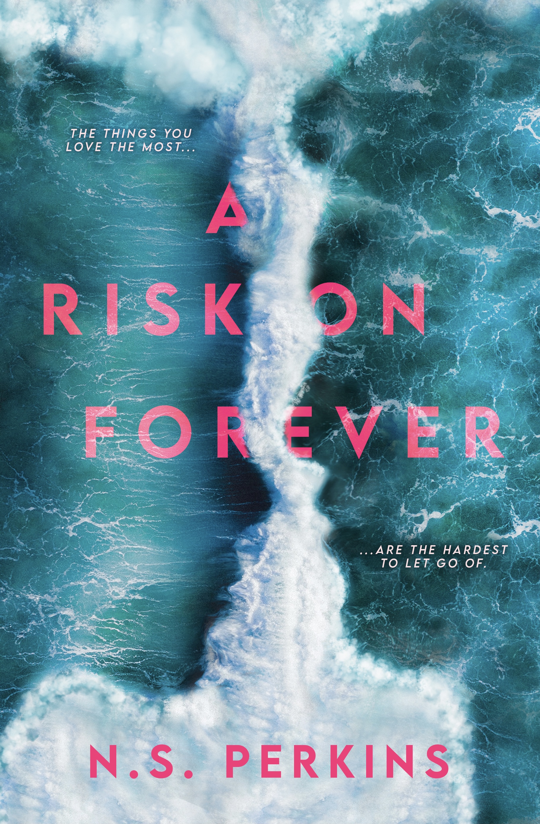 A Risk on Forever by N.S. Perkins – Trigger Warning Database